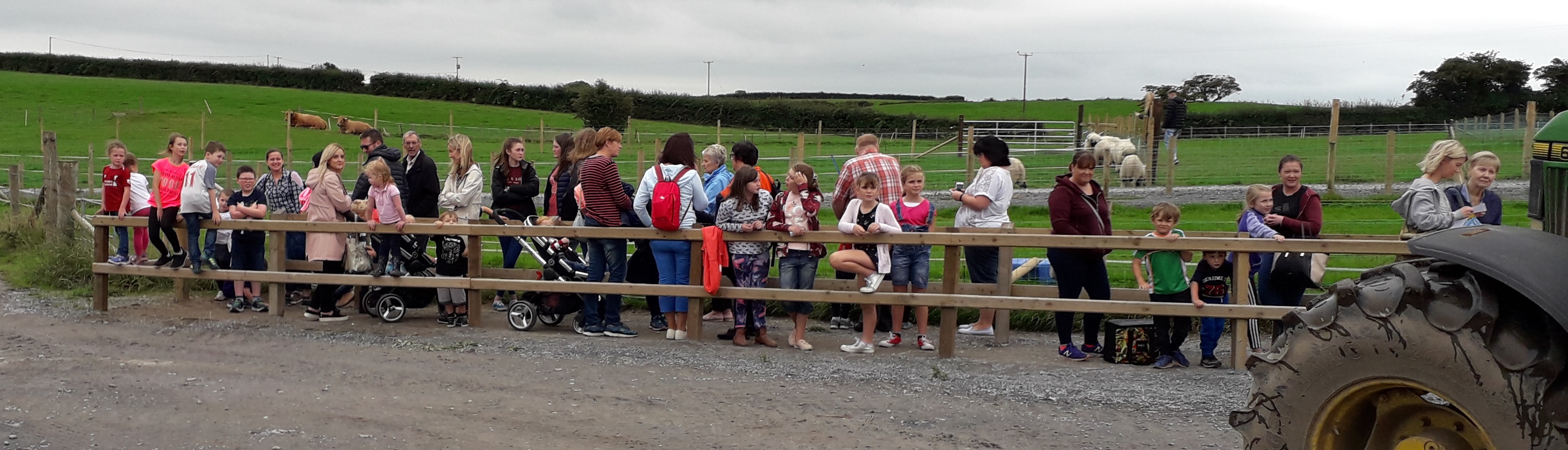 Downpatrick visit to Streamvale Open Farm – velvethummingbee